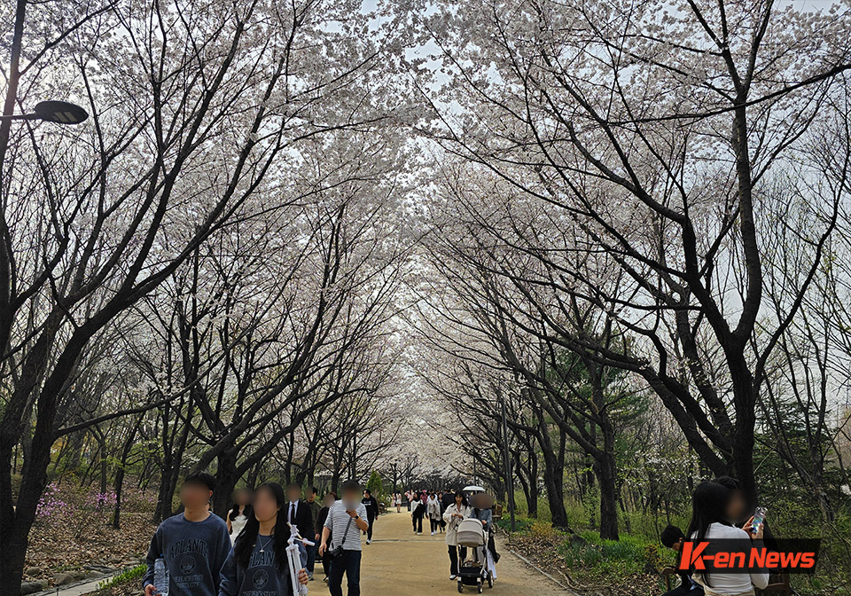 Where is the 'J-Hope Bench Garden' in Seoul Forest Visited by J-Hope?