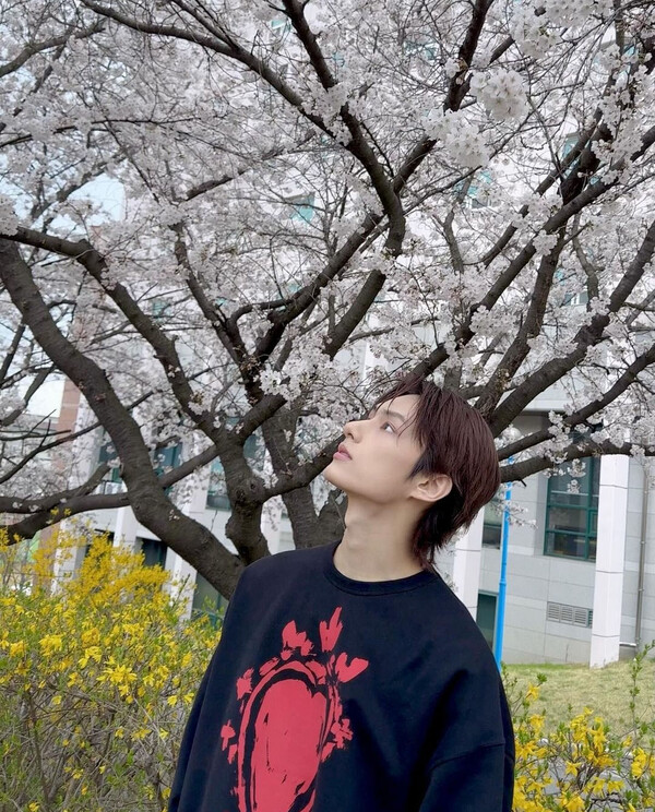 A Man Prettier Than Flowers" - SEVENTEEN's Jun Shines Among Cherry Blossoms