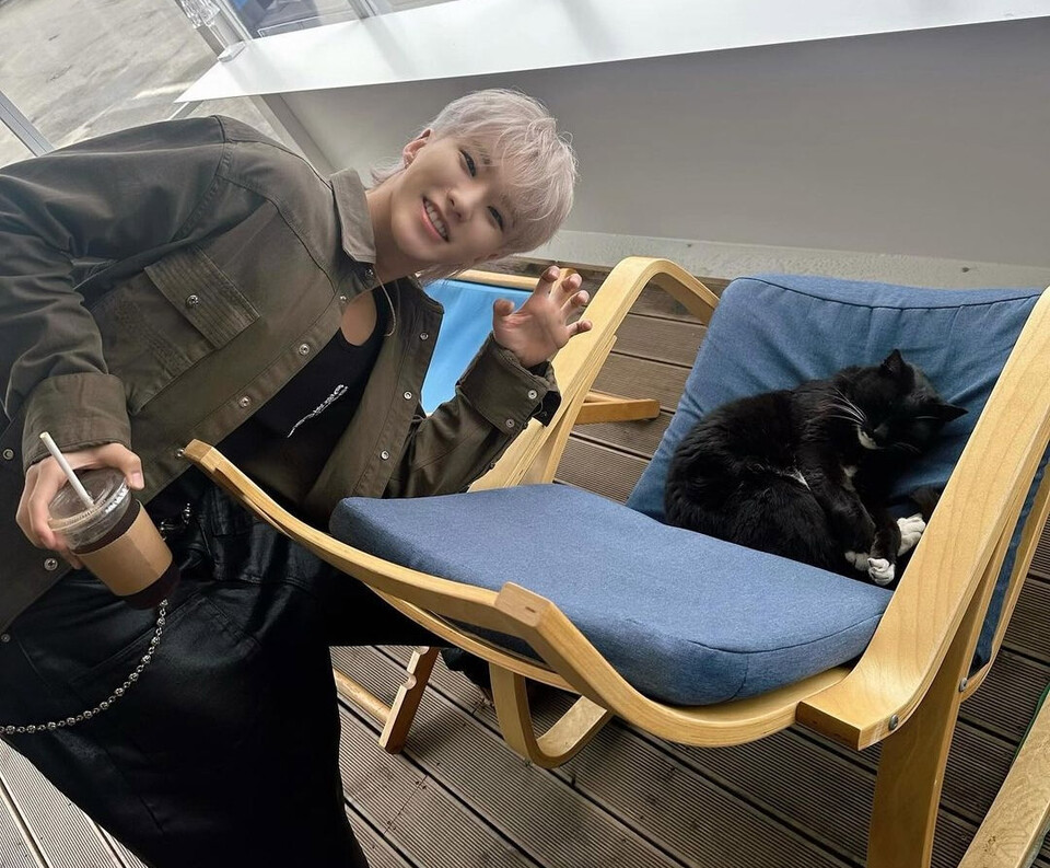 Unexpected Moments with Hoshi: Cats, Coffee, and Kim Ji-won!