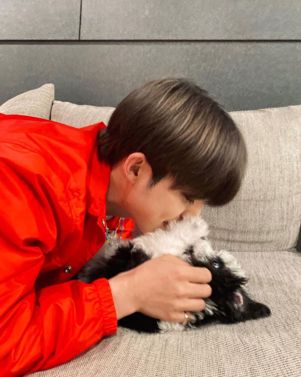 SEVENTEEN Leader S.Coups, After Loving Animals So Much, Finally...