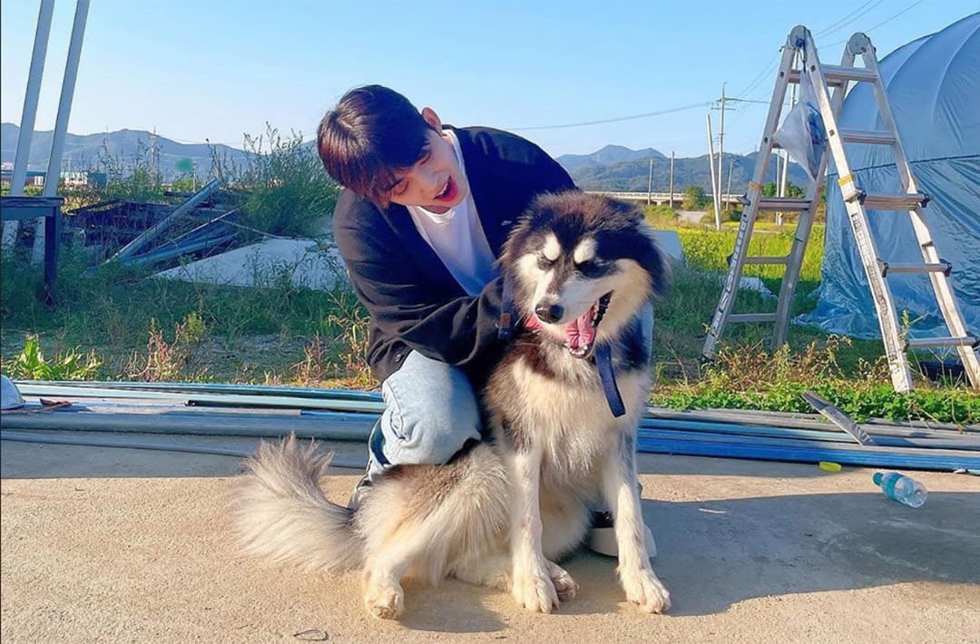SEVENTEEN Leader S.Coups, After Loving Animals So Much, Finally...