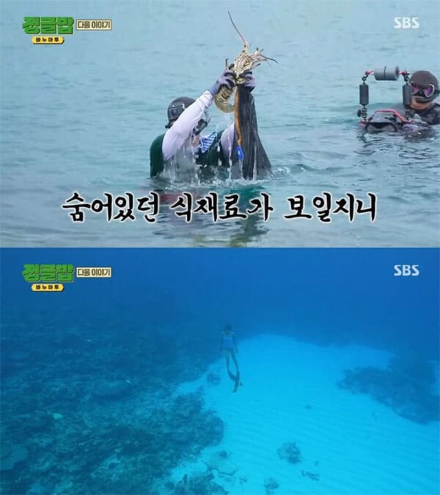 'Jungle Bob' Tops Ratings for Two Consecutive Weeks, Uee Stuns with ...