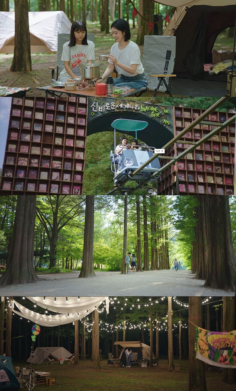 [SKZ Spot] Nami Island – A Special Place Where Stray Kids Took Photos ...