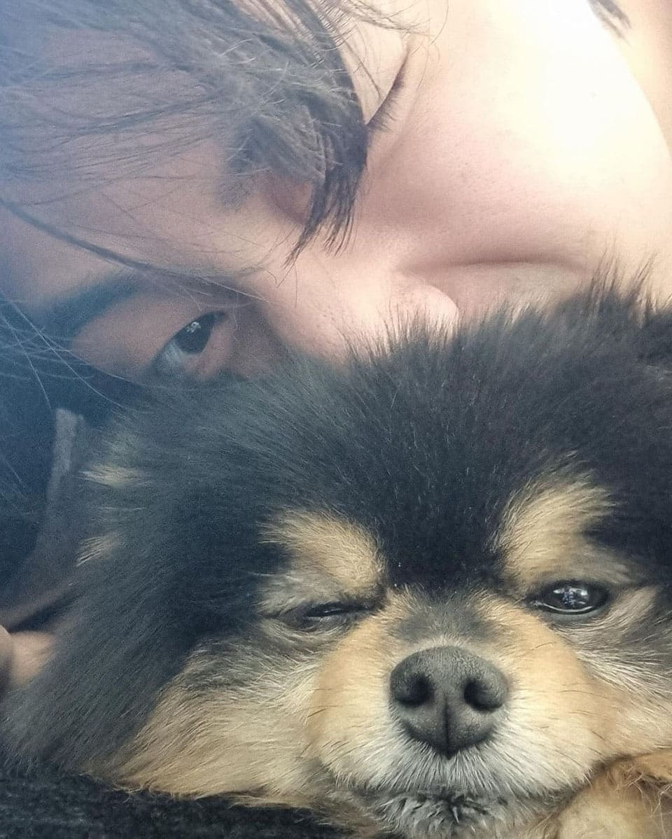 BTS V Says Goodbye to Beloved Dog During Military Service: 'May Yeontan ...